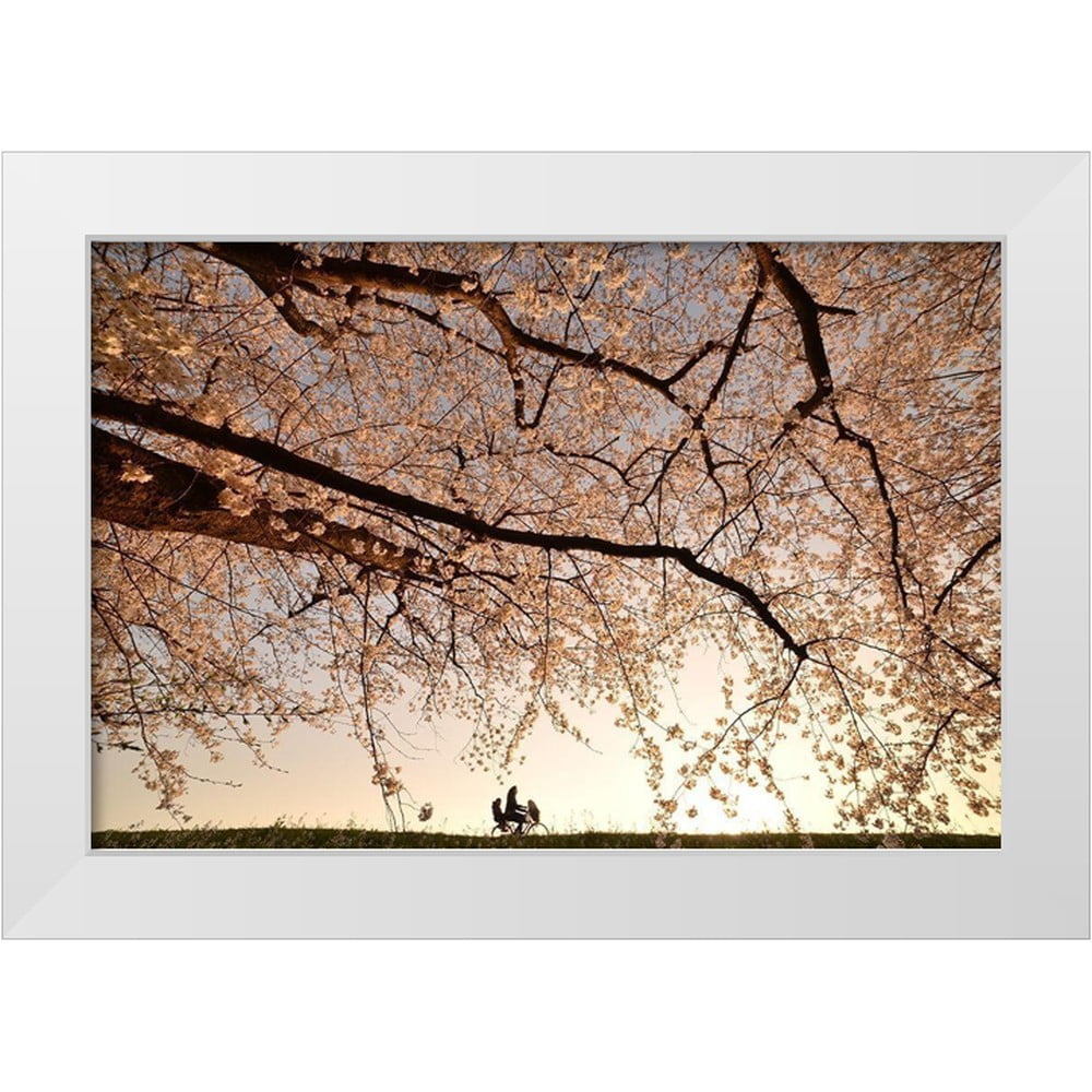 Takanobu Kano 24x17 White Modern Wood Framed Museum Art Print Titled ...
