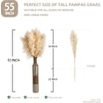 55inch 10pcs Dried Pampas Grass Decor Tall-Tall Pampas Grass for Floor ...
