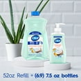 Dial Liquid Hand Soap Refill, Coconut Water & Mango, 52 fl oz - Walmart.com