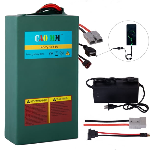 52V 20Ah Lithium Battery with 5A Charger 50A BMS Ebike Battery for ...