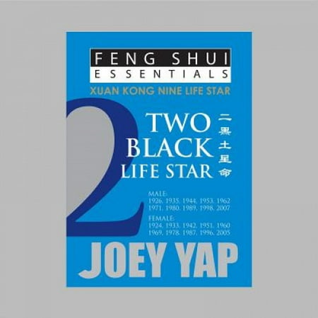 Feng Shui Essentials -- 2 Black Life Star | Walmart Canada