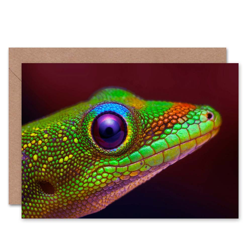 Birthday Animal Photo Gold Dust Day Gecko Head Greetings Card Plus ...