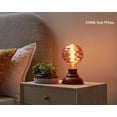 Luxon LED 6W 60W Equivalent Warm White 2700K Huge Edison Light Bulb ...