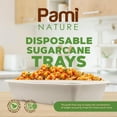 PAMI 9x12 Inch Biodegradable Bagasse Serving Trays, 250 pack – Heavy ...
