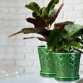 BUYMAX 4",5",6" Dia Planter Set of 3, Modern Style Ceramic Plant Pots ...