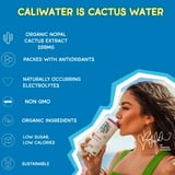 Caliwater Organic Wild Prickly Pear Nopal Cactus Water: Plant-Based ...