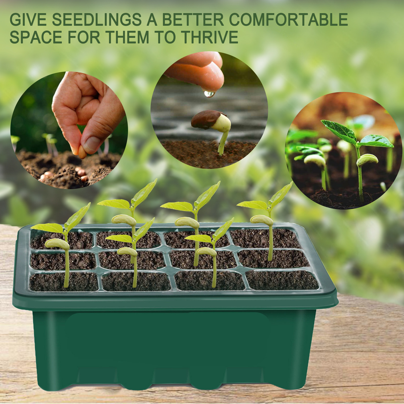 with 10 Plastic Plant Labels and 2 Seedling Lifters 10pcs-Black Seed ...