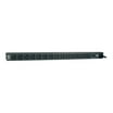 Tripp Lite 15A Power Distribution Unit, PDU1215 - Walmart.com