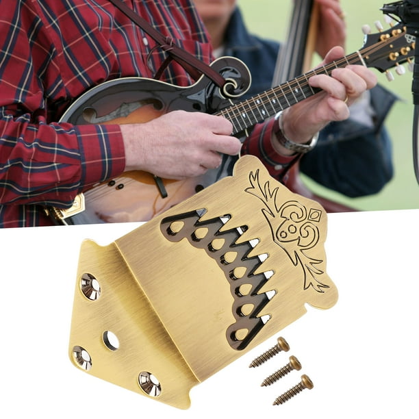 Mandolin Tailpiece Replacement, Enhance Performance Experience ...