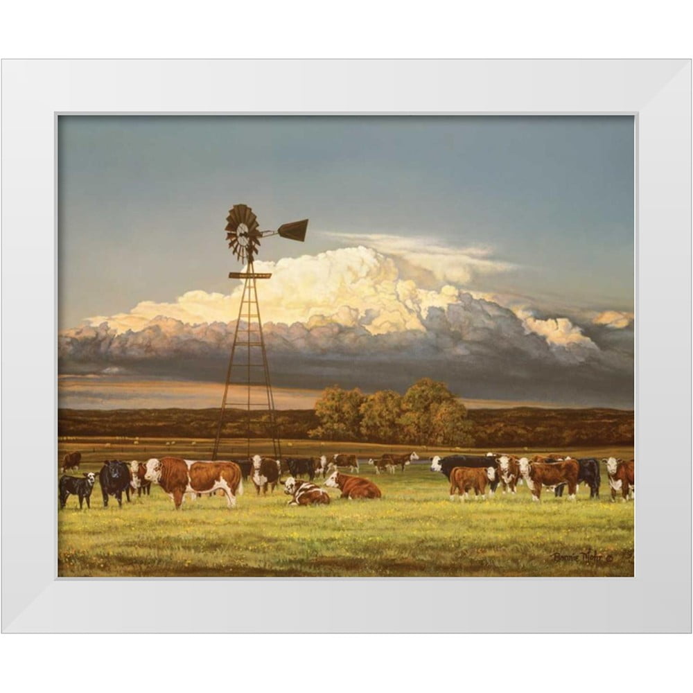 Mohr, Bonnie 24x20 White Modern Wood Framed Museum Art Print Titled ...