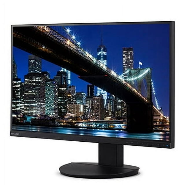 DD EA242W 24" Desktop Monitor - Walmart.ca