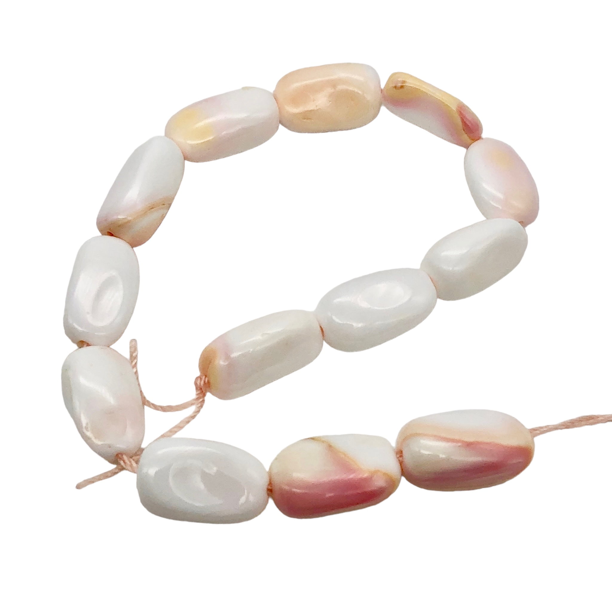 Conch Shell Beads