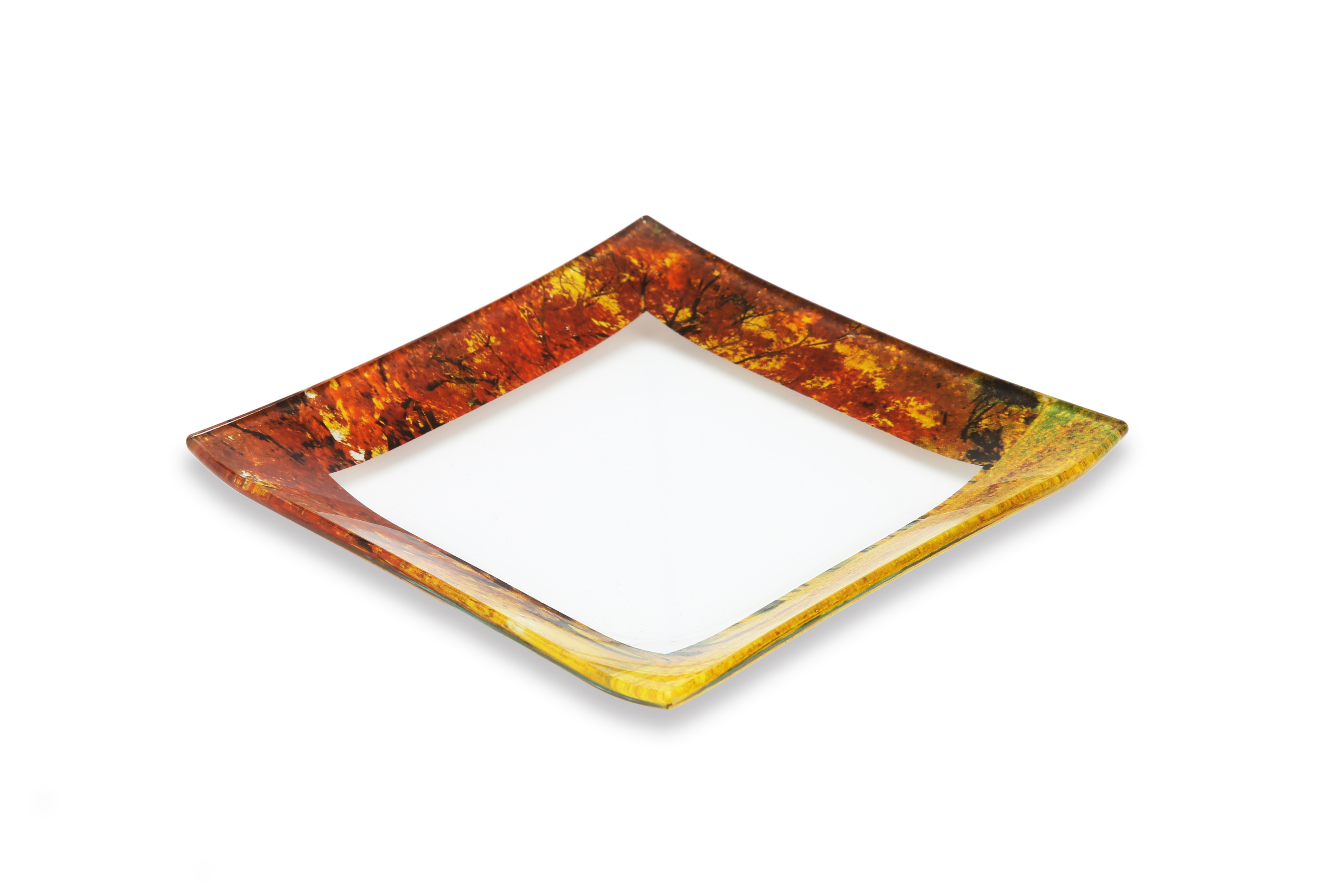 GAC Unique Landscape Design Square Tempered Glass Dessert Plates – 6 ...