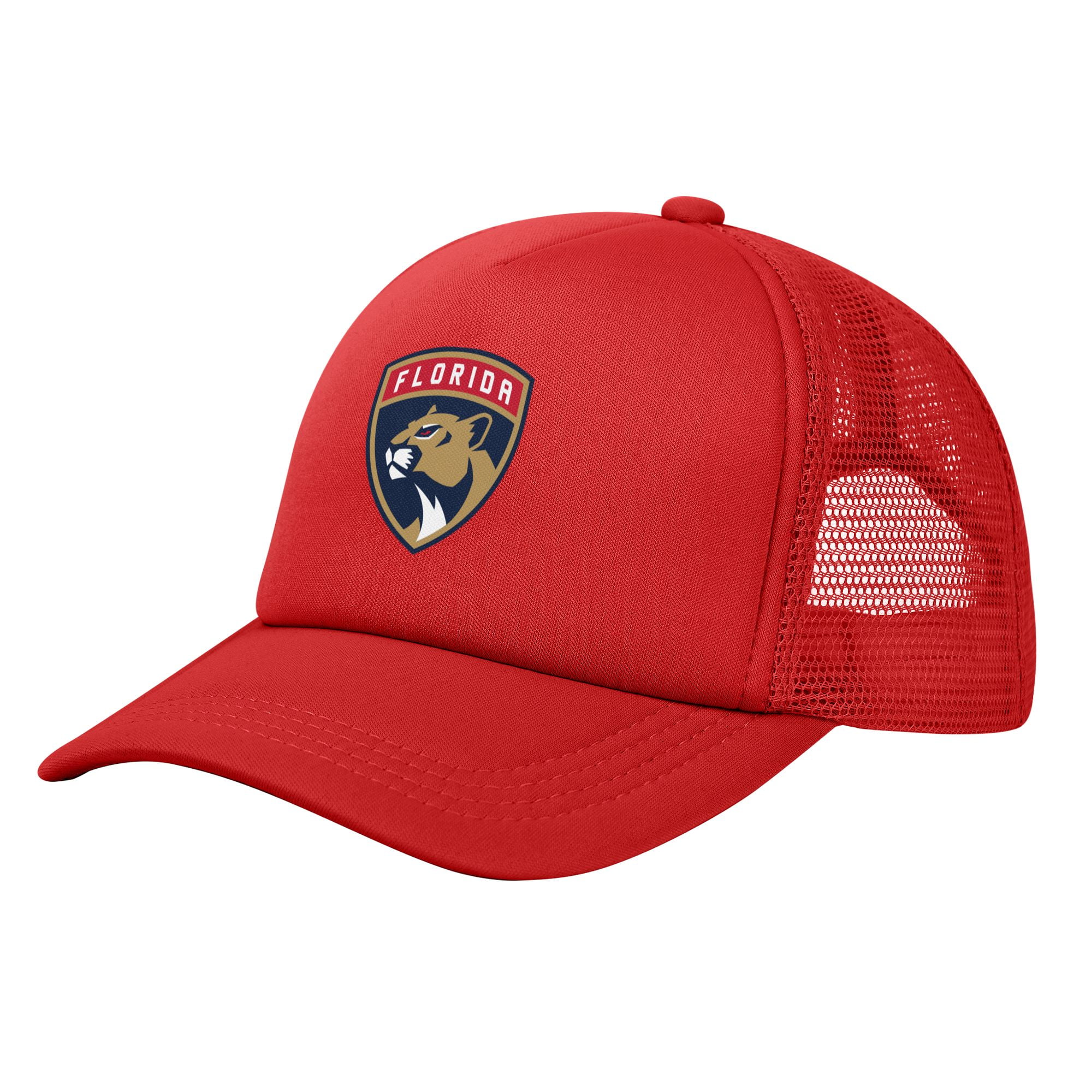 Click here for Mryumi Florida Panthers Hat Baseball Cap Casquette... prices