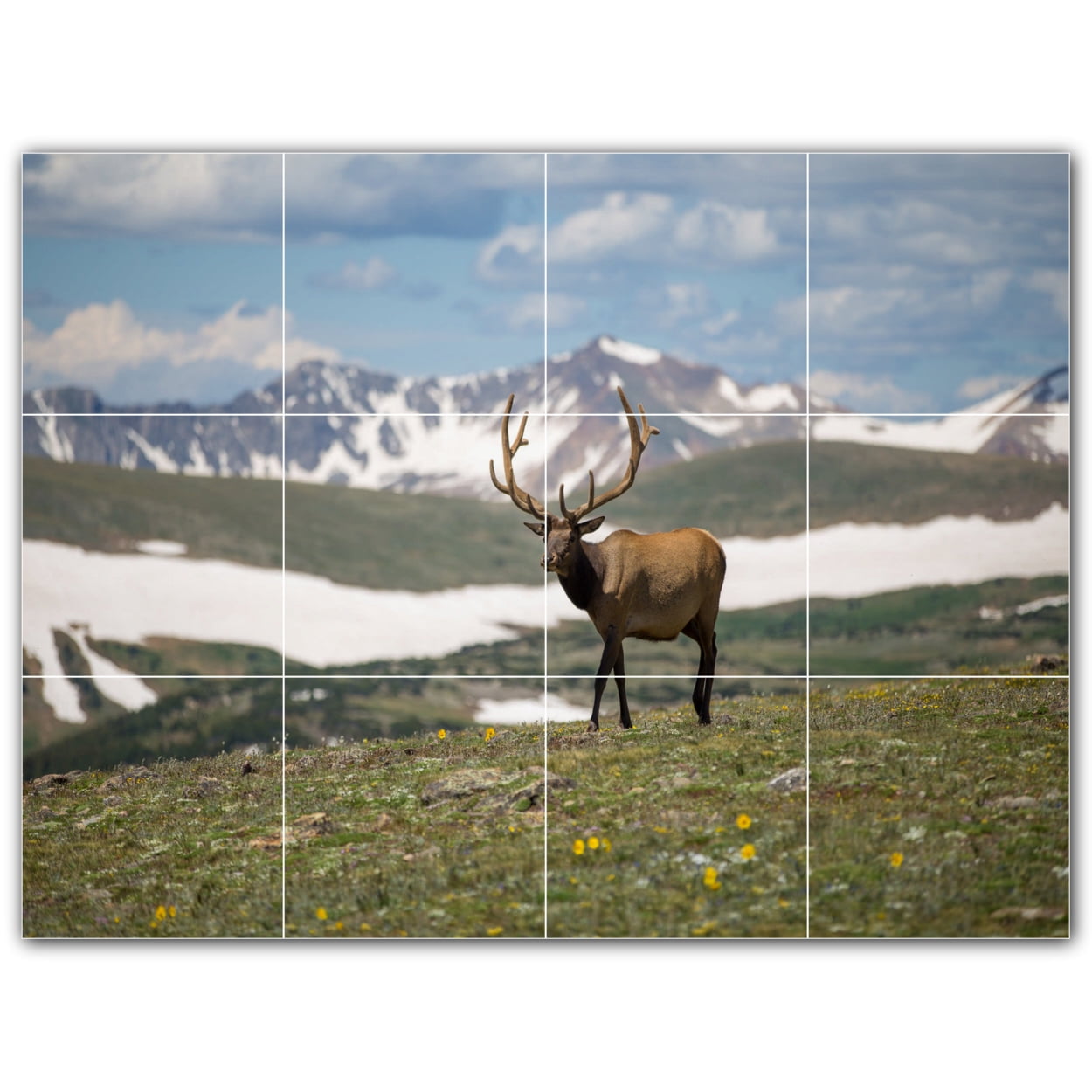 Picture-Tiles.com: Deer Ceramic Tile Wall Mural WAL500445-43M. 24"W x ...
