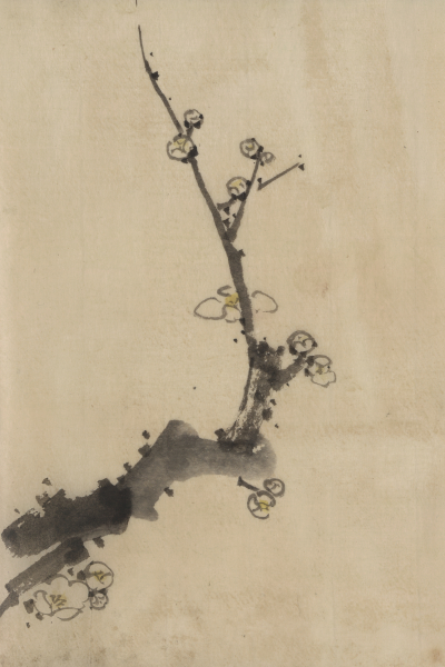 Print: Fruit Tree Branch With Blossoms, circa 1830 - Walmart.com