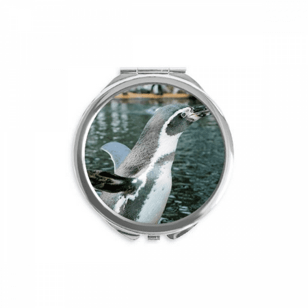Nature Antarctic Penguin Science Picture Hand Compact Mirror Round ...
