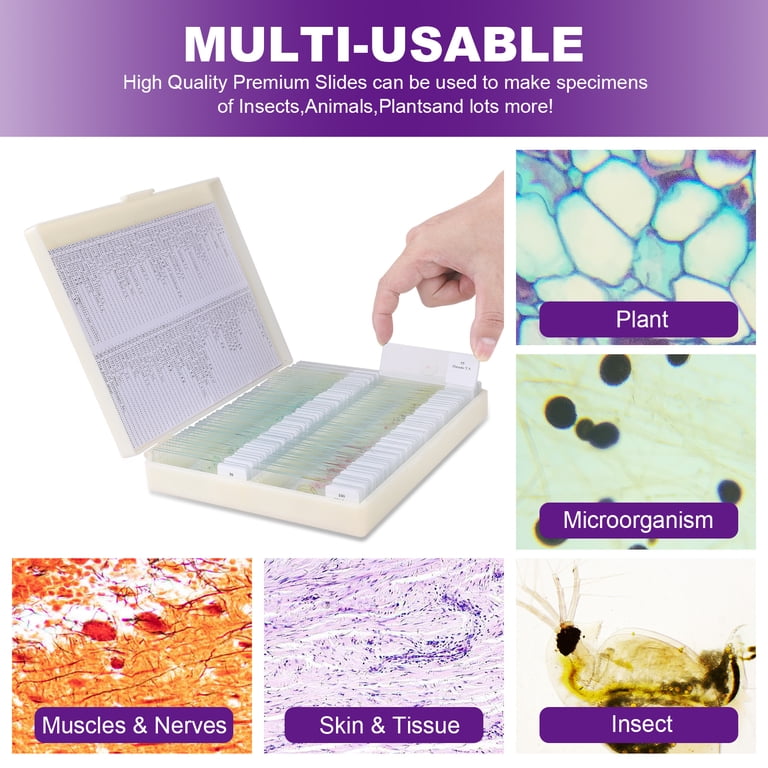 Human Histology Prepared Slides Biology Education 100 Piece Human ...
