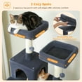 PAWZ Road 73"Cat Tree for Large Cats Multi Level Play Tower Condo 7 ...