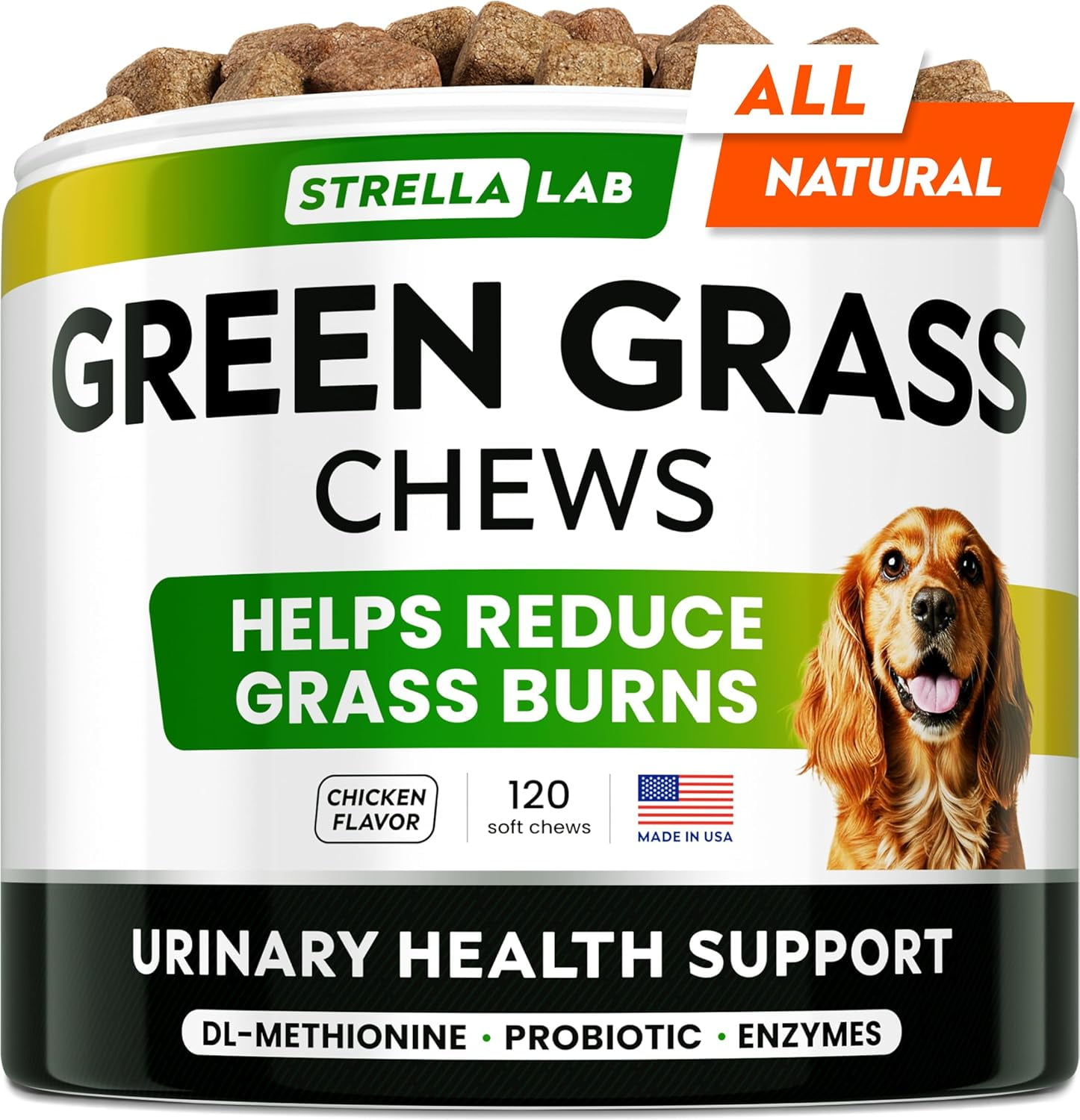 SHIQI-Dog Pee Grass Helper - Dog Urine Neutralizer for Grass Burn Spots ...