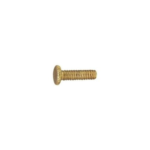 Westinghouse Lighting 12 Fitter Screws in Polished Brass (Set of 33 ...
