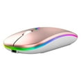 2.4G Wireless Mouse with USB Receiver Rechargeable RGB Cordless Silent ...