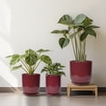 8 Inch Red Ceramic Planter with Drainage Hole – Round Cylinder Flower ...