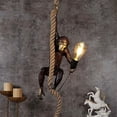 Heavenly Collections | Monkey Rope Pendant Light - Matte Black Resin ...