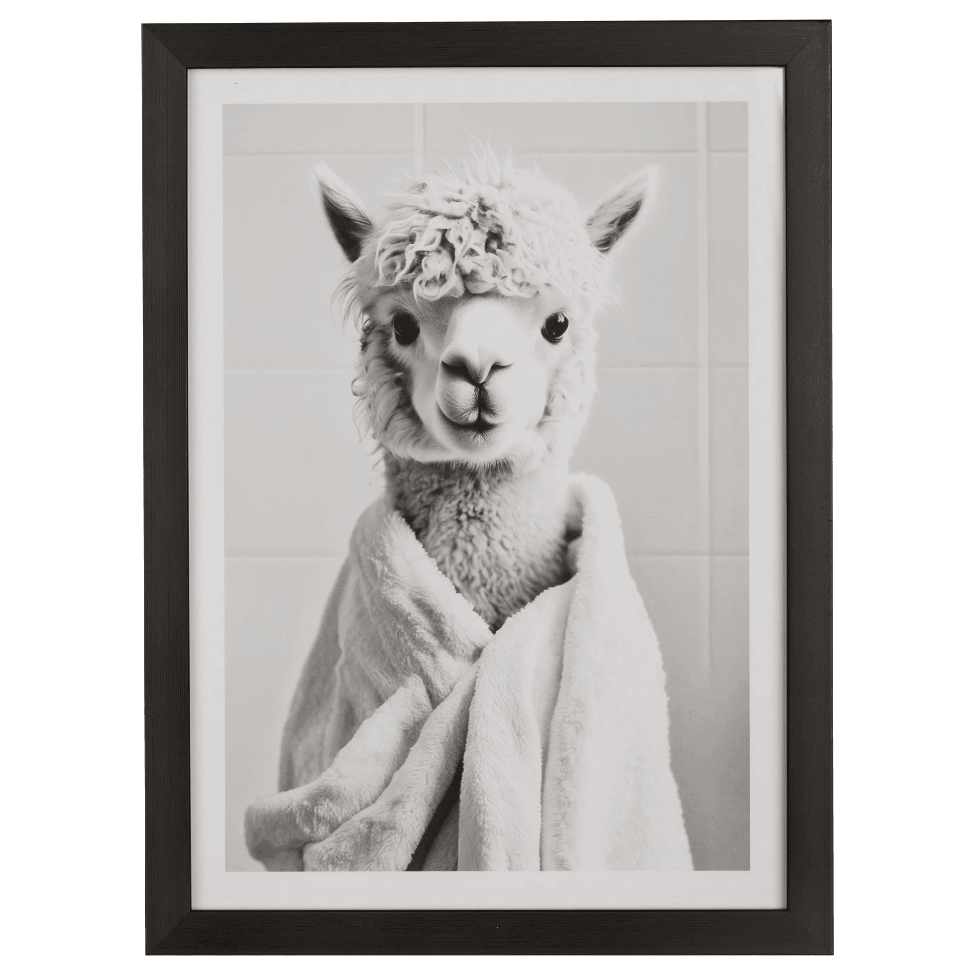 Click here for Bouclair Llama In Towel Framed Wall Art prices