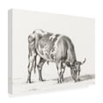 Trademark Fine Art Jean Bernard Bernard's Bull Renderings I Canvas Wall ...