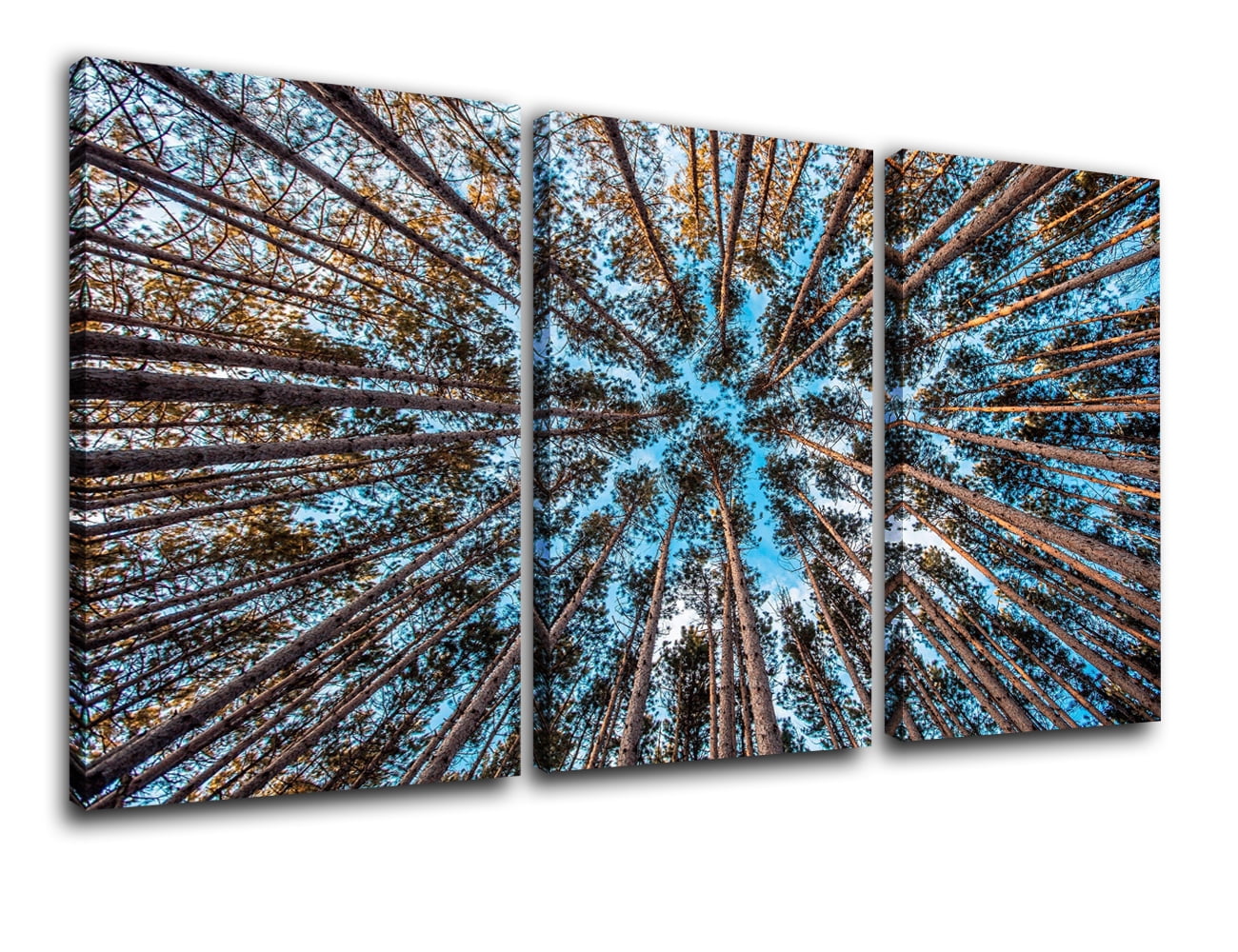 TISHIRON 3PCS Framed Canvas Wall Art Set,36"x24" Pines and Sky Canvas ...