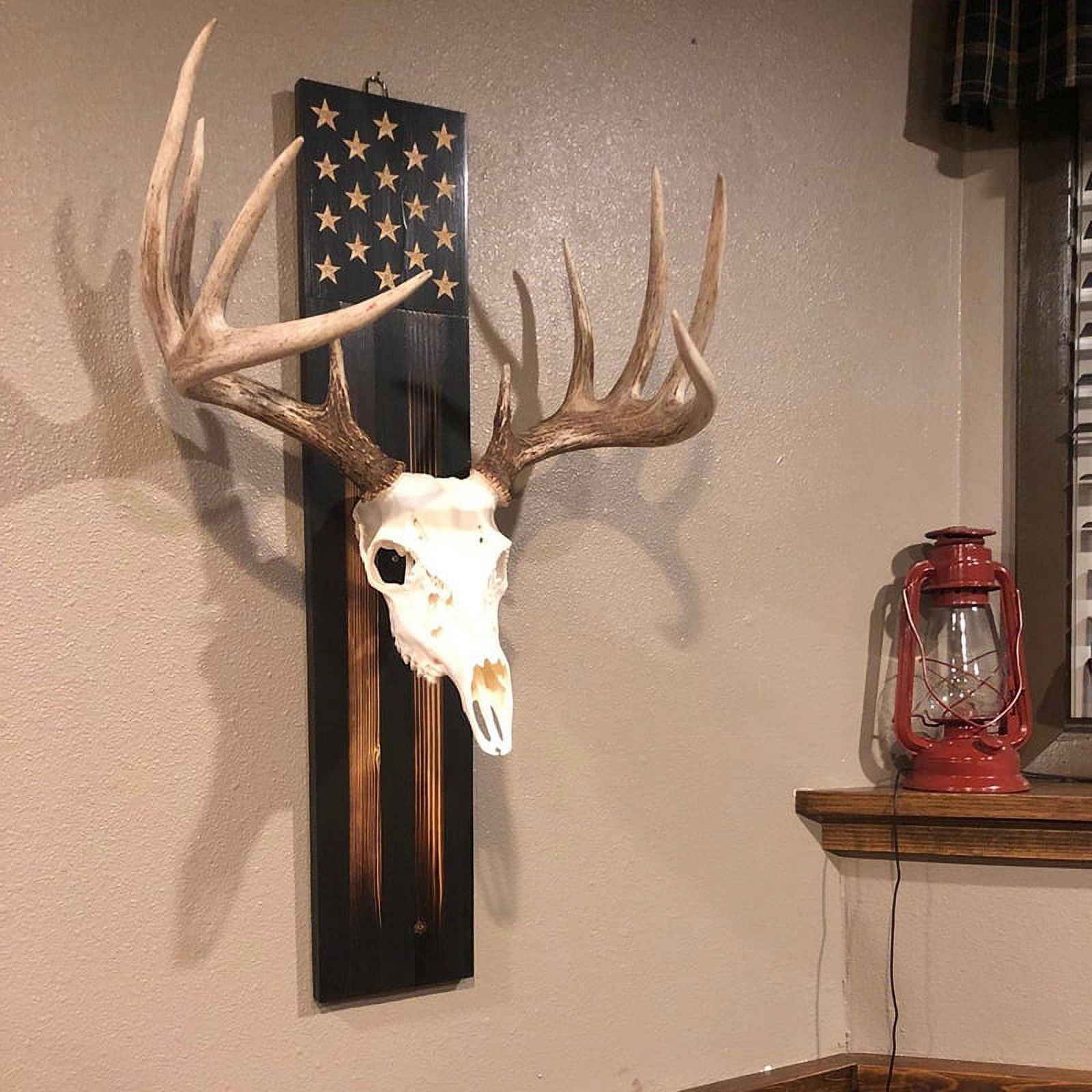 Deer Skull Mount Plaques