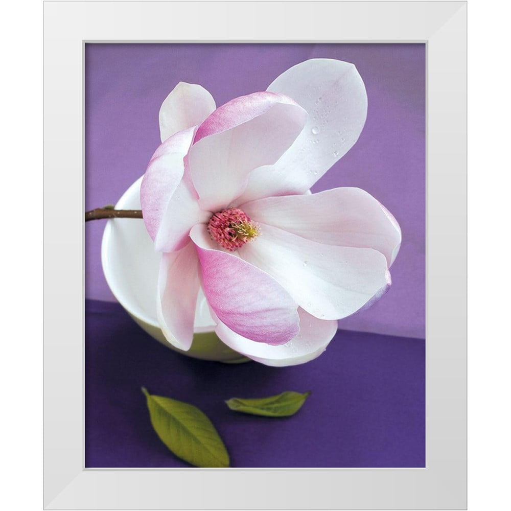 Beyler, Catherine 20x24 White Modern Wood Framed Museum Art Print ...