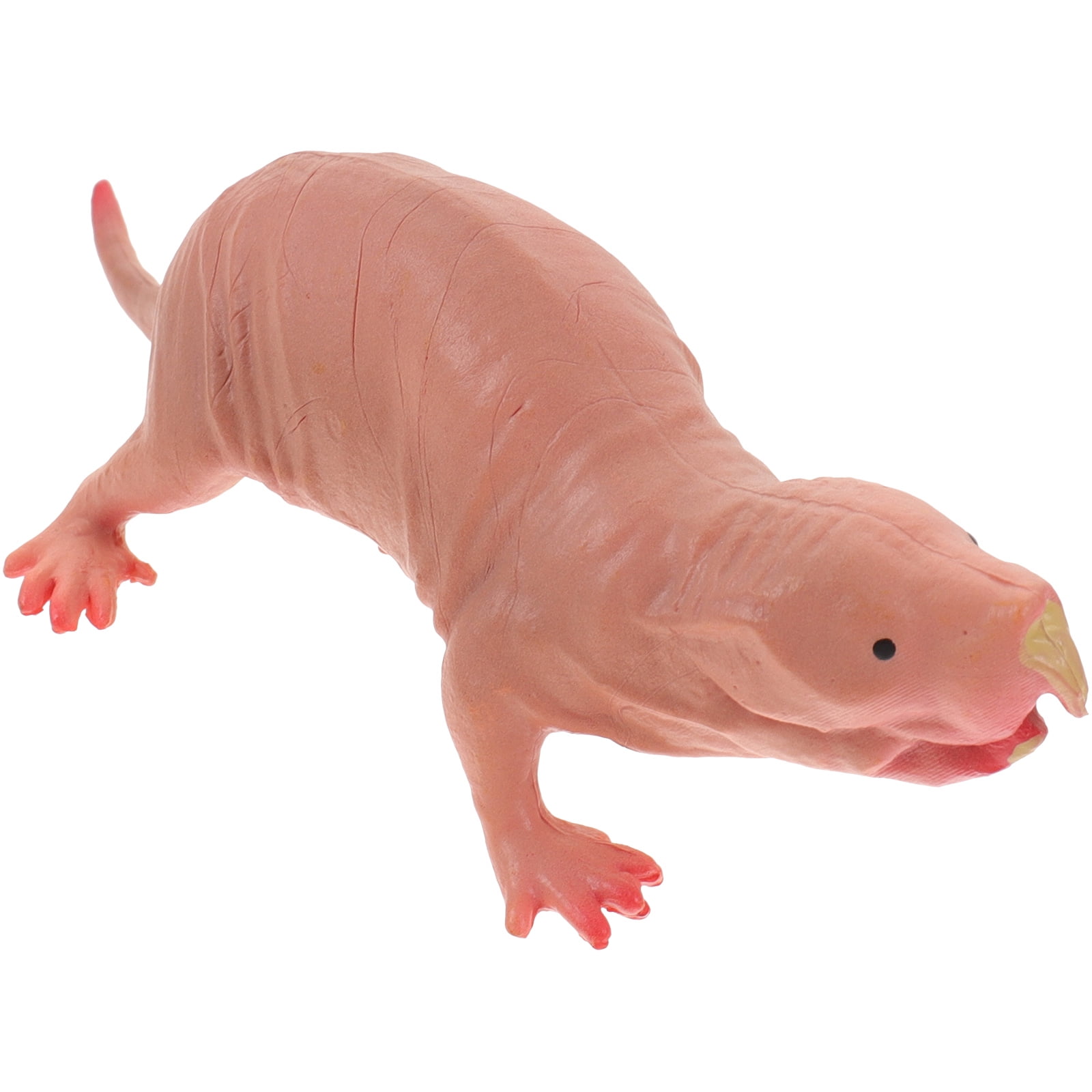 Click here for Masteelfca Simulated Mole Model Animal Modeling Cr... prices