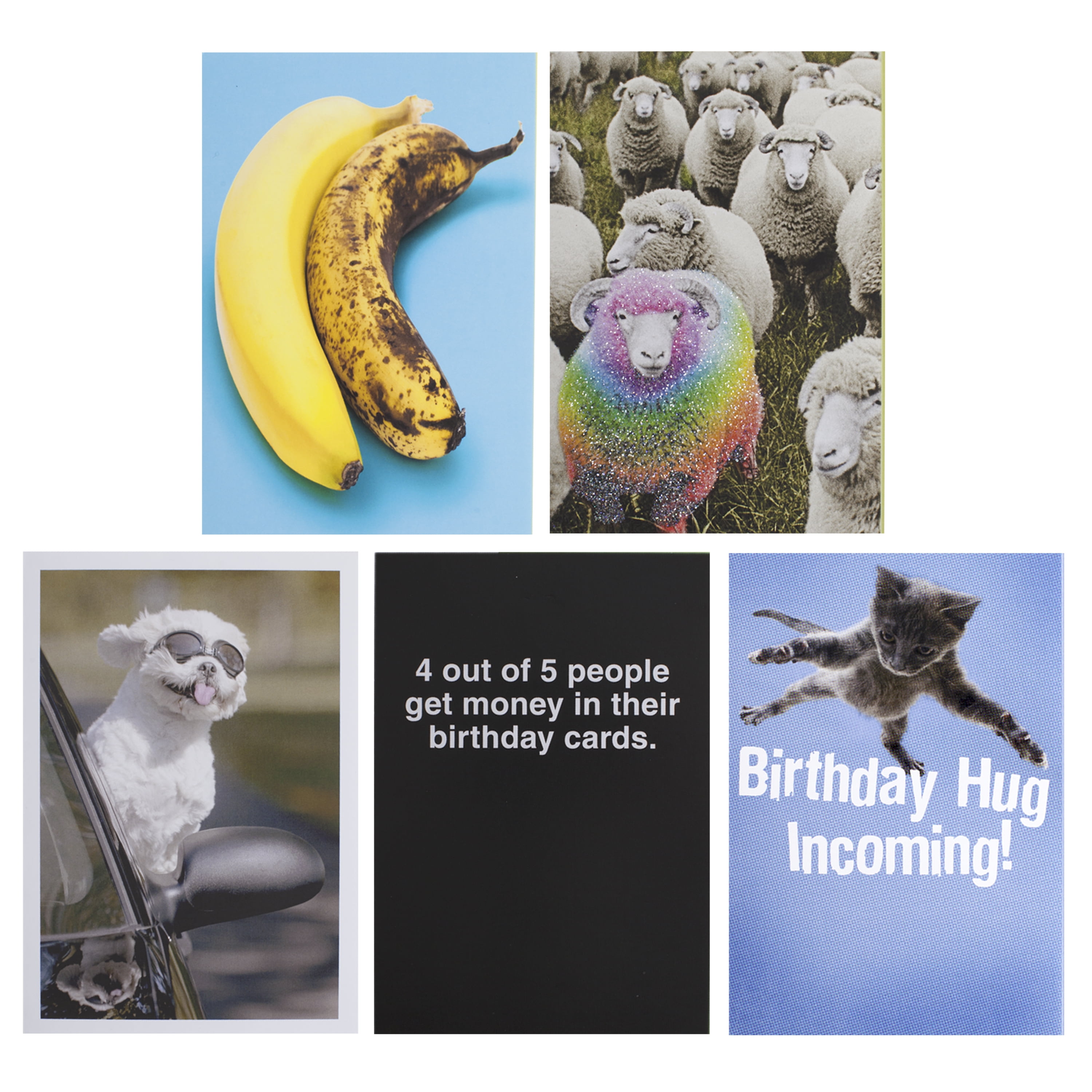Hallmark Shoebox Funny Birthday Cards Assortment (5 Cards with ... Hallmark Shoebox Funny Birthday Cards Assortment (5 Cards with ...