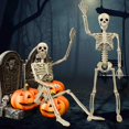 36" Skeleton Halloween Decorations, 3ft Life Size Human Skeleton with ...