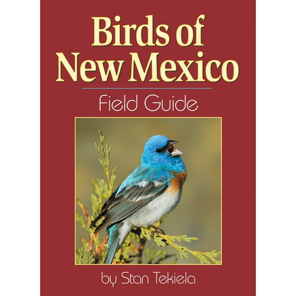 Bird Identification Guides: Birds of New Mexico Field Guide (Paperback ...