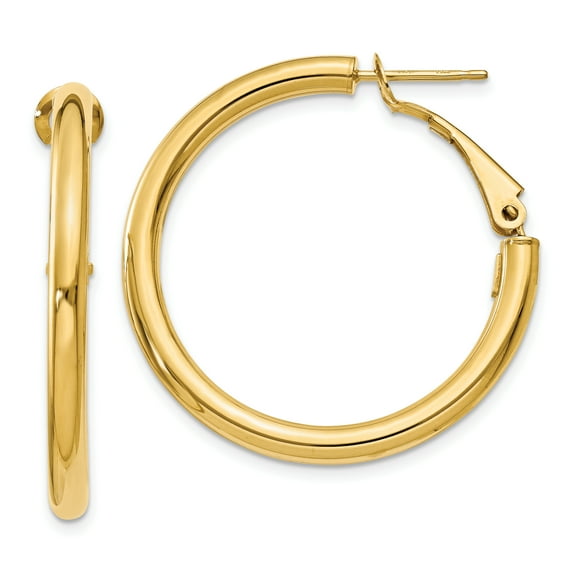 14k 7.75mm Oval Omega Back Hoop Earrings 14k Yellow Gold Earrings ...