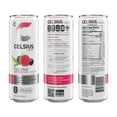 CELSIUS Raspberry Acai Green Tea Energy Drink, Zero Sugar, Non-GMO, 12 ...