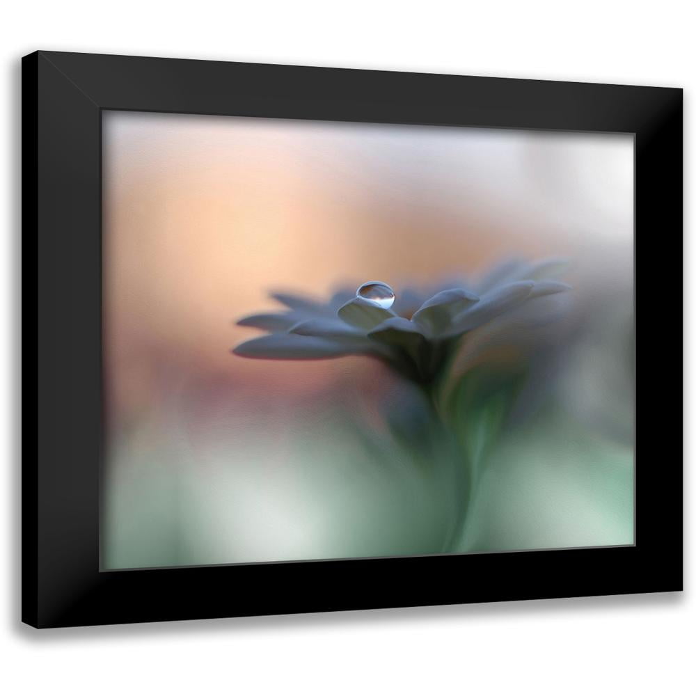 Nan, Juliana 22x20 Black Modern Framed Museum Art Print Titled - Eyes ...