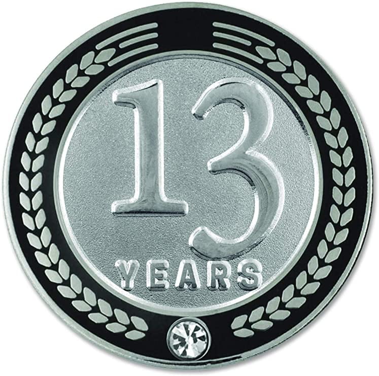 PinMart's 13 Years of Service Award Employee Recognition Gift Lapel Pin ...