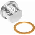 BDKWID-Internal Hex Head Socket Pipe plug M10x1 Thread Stainless Steel ...