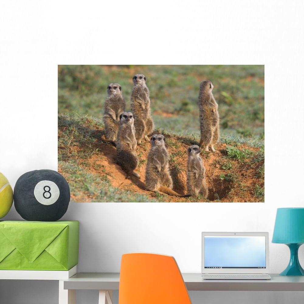 Meerkat Family Wall Mural Decal Sticker, Wallmonkeys Peel & Stick Vinyl ...