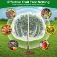 4'x6' Fruit Tree Netting Cover with Zipper and Drawstring, Ultra-Fine ...