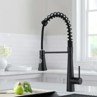 OakBrook Pacifica High Arc Two Handle Kitchen Faucet with Side Sprayer ...