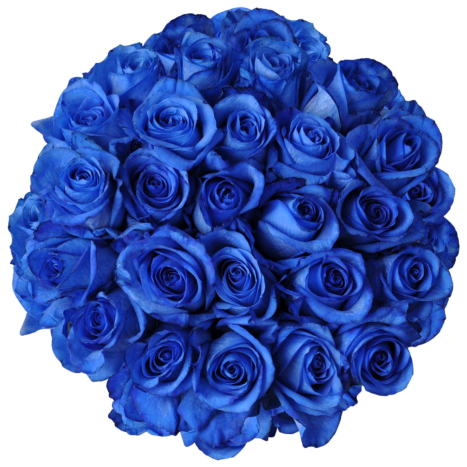Most Beautiful Images Of Blue Roses