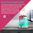 Vitinity Probiotic-10+Inulin Adult Gummy Supplement, 30 Day Supply ...