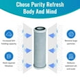 CFS 10 Activated Carbon Water Filter Cartridge Compatible with Watts ...