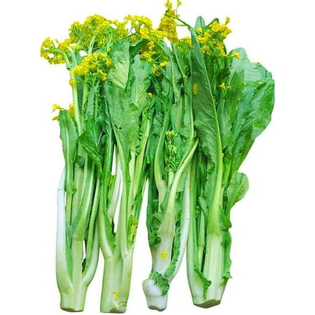 Broccoli Raab Seeds 2000+ Organic Easy to Grow Vegetables Chinese ...
