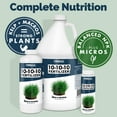 Liquid 10 10 10 Fertilizer For Lawn And Garden Triple Ten Npk Plus